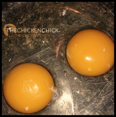 Control & Treatment of Worms in Chickens | The Chicken Chick®